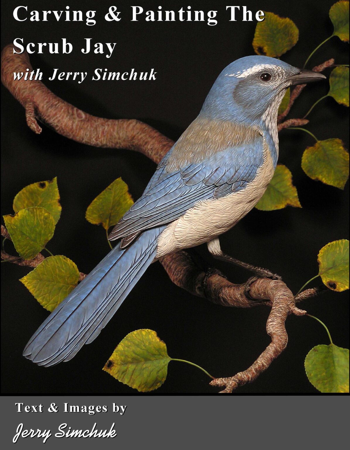 Scrub Jay - SugarPine Woodcarving