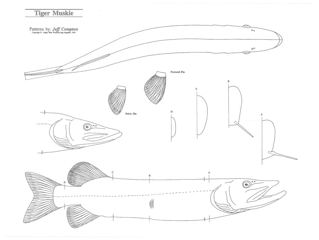 Tiger Muskie - SugarPine Woodcarving