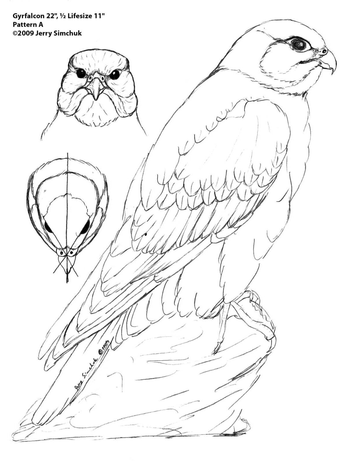 Gyrfalcon 1/3 Life-Size - SugarPine Woodcarving